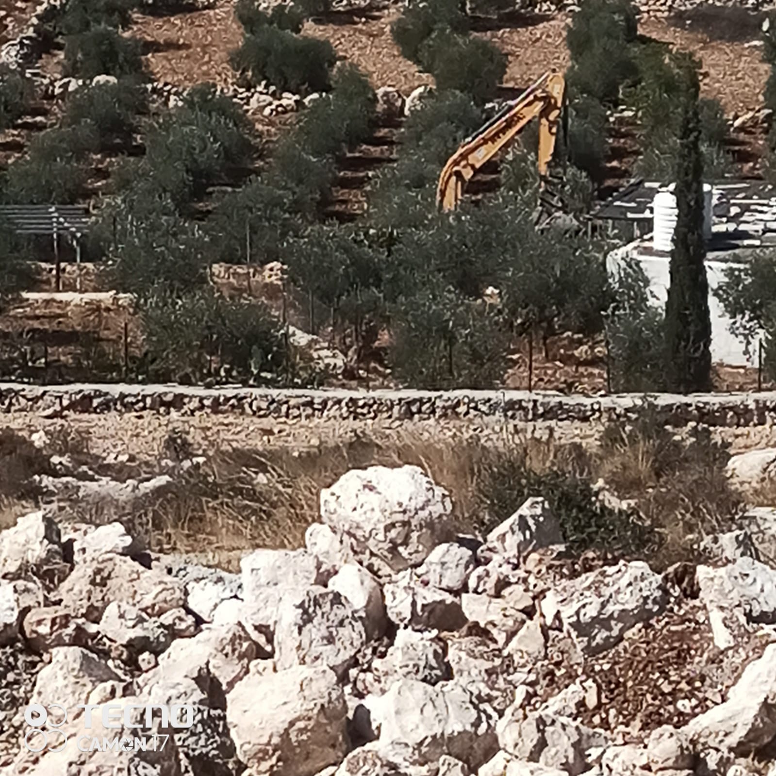 Israeli forces bulldoze over 20 dunums of land, destroy hundreds of ...