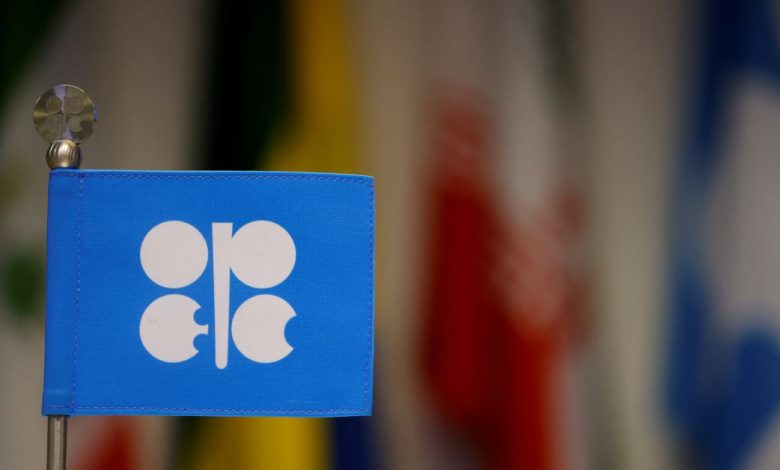 OPEC+ members endorse output cut after U.S. coercion accusation ...