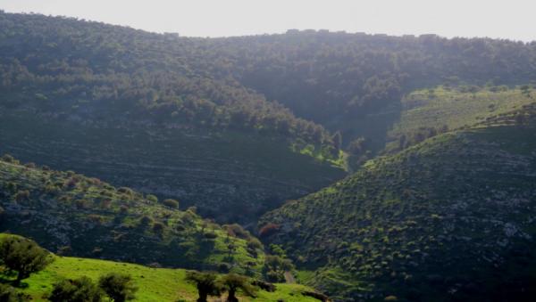 Sunny, moderate conditions forecast for two days- JMD | Jordan News ...