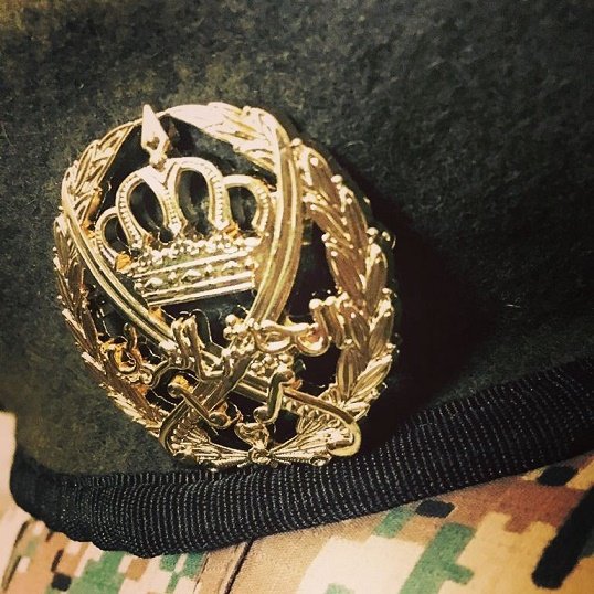 Army chief meets with finance minister | Jordan News | Ammon News