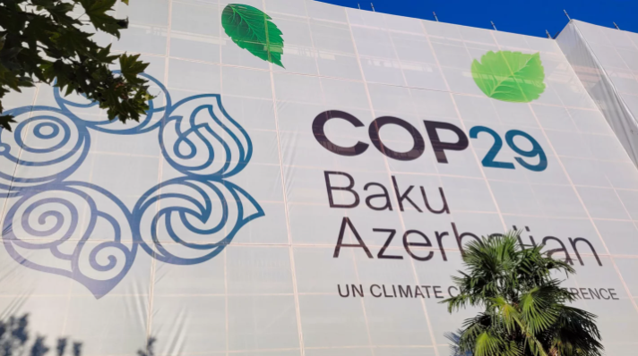 Azerbaijani Embassy: Baku's COP29 Hosting Marks Milestone for Greener Future | Business | Ammon News