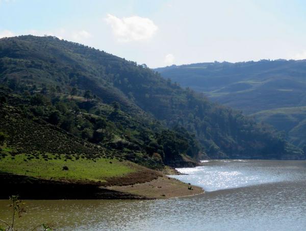 Kingdom’s dams reach 40,5% of storage capacity | Jordan News | Ammon News