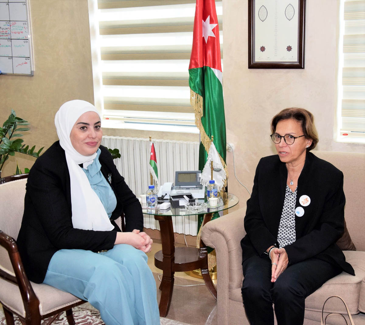 Social Development Minister receives UNDP Jordan representative ...
