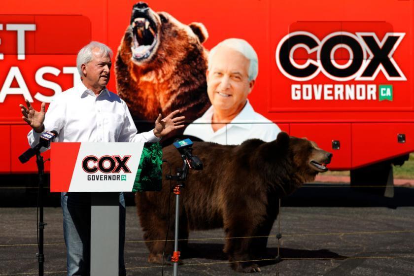 California Governor Candidate Brings 500 Kg Bear To Rally | Panorama ...