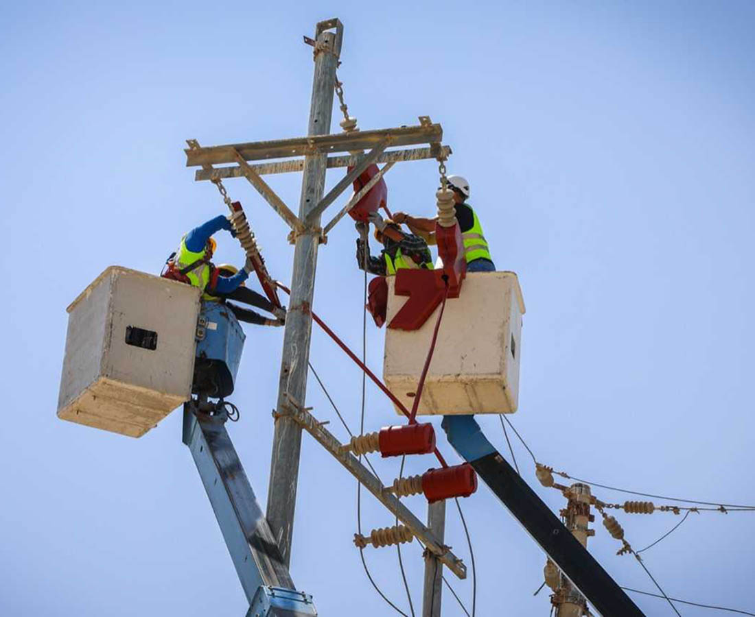 Irbid Electricity Company insulates power lines for avian protection ...