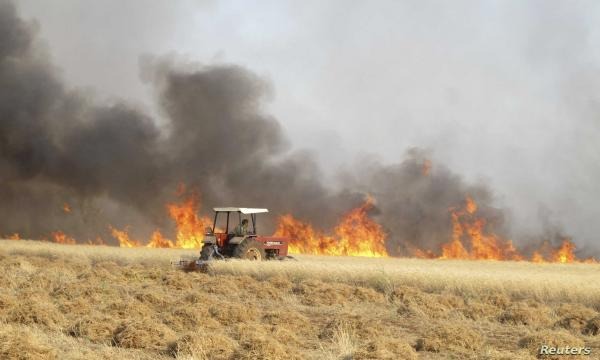 461 grass, trees and crop fire last weekend | Jordan News | Ammon News