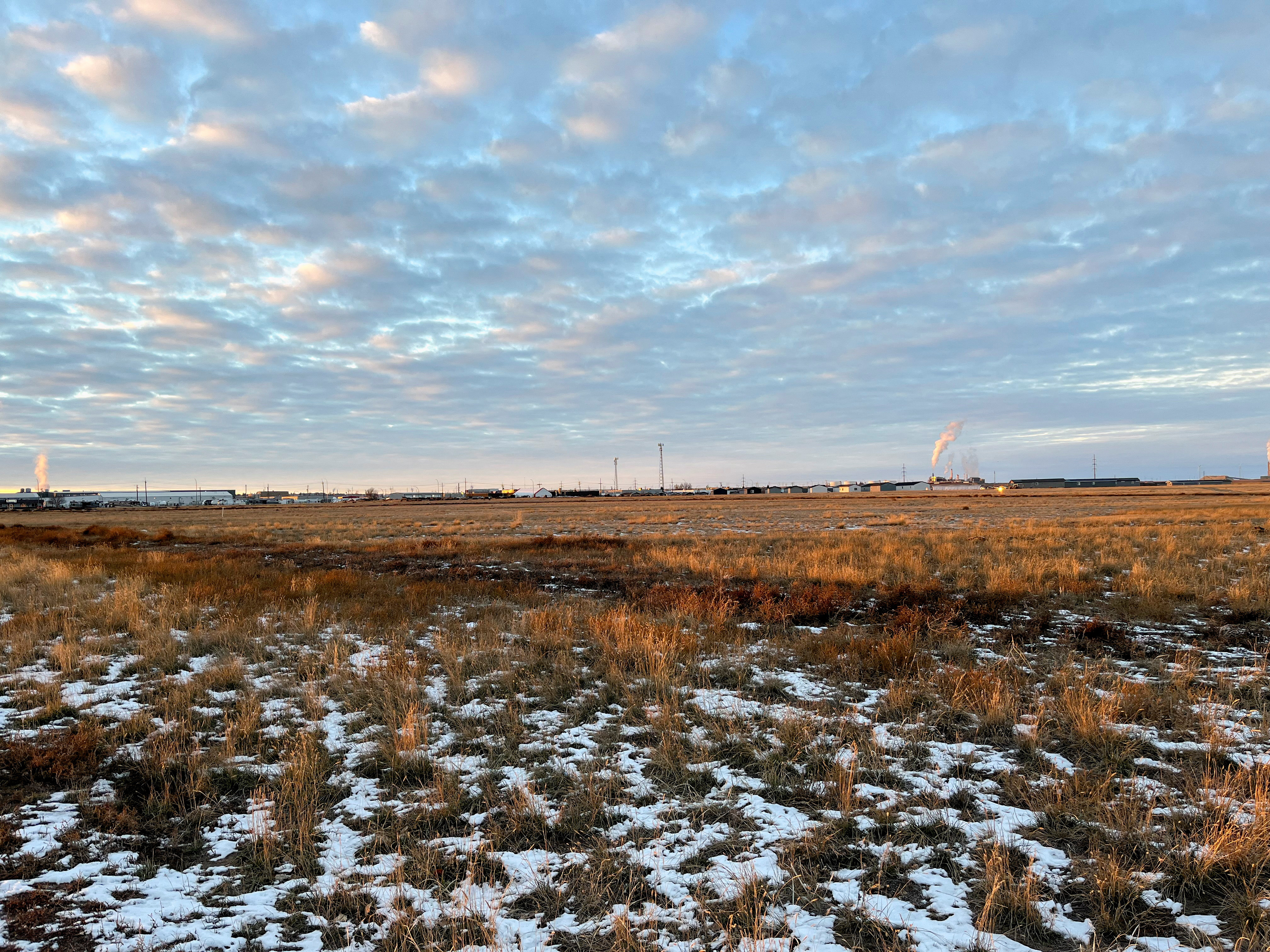 Most Canadians will wake up to a green Christmas | Panorama | Ammon News