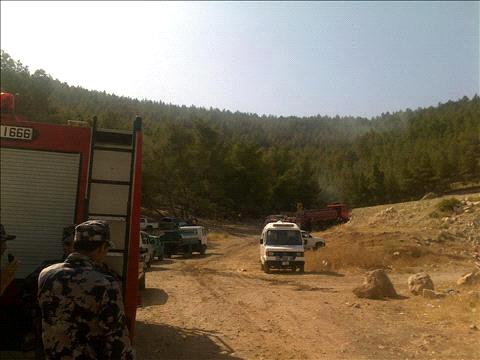 Massive Flames Engulf Wasfi Tal Forest | Jordan News | Ammon News